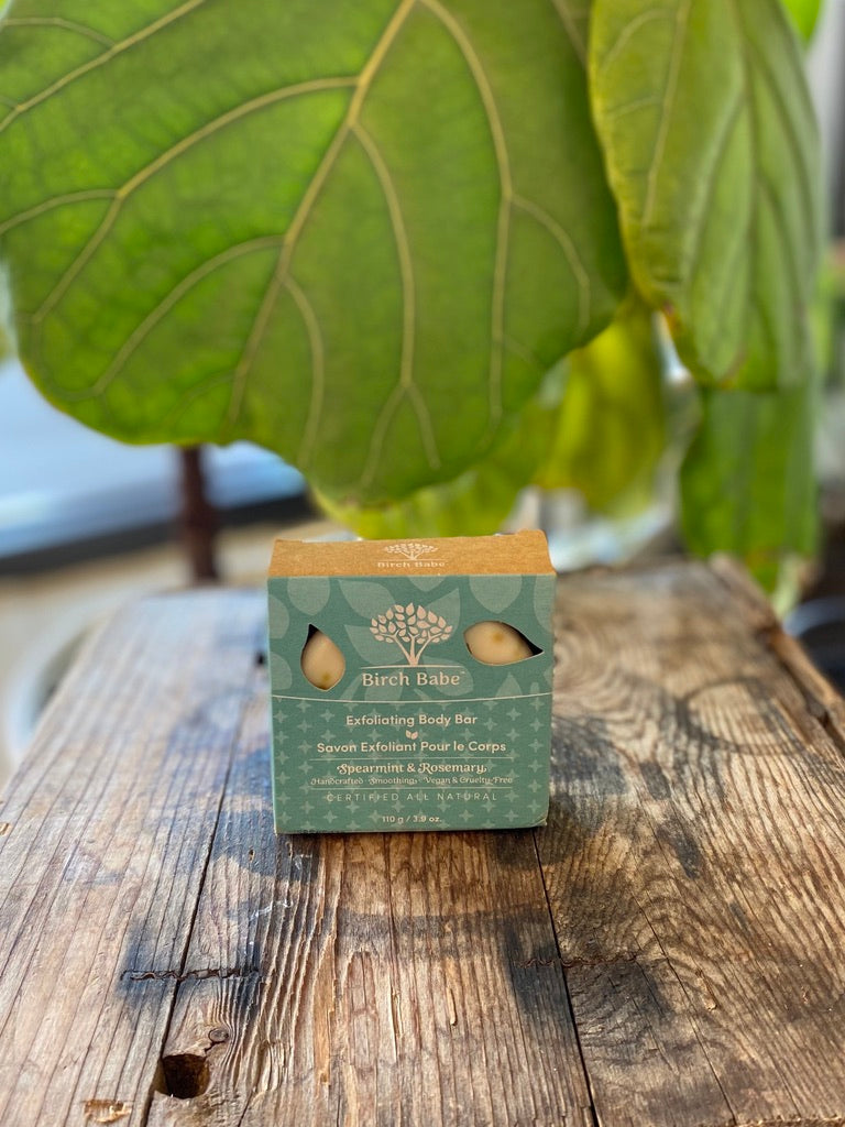 Birch Babe - Exfoliating Body Bars – FILL - Kelowna's Refill Store