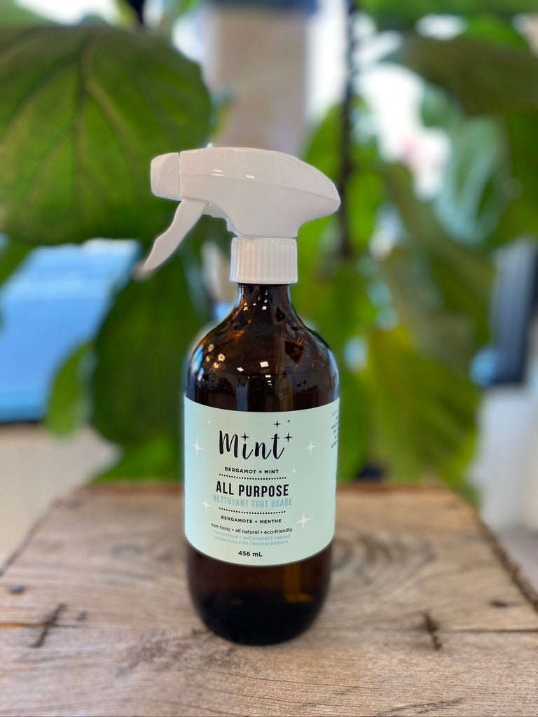 Mint Cleaning - All Purpose Cleaner 500ml Spray Bottle – Fill Kelowna